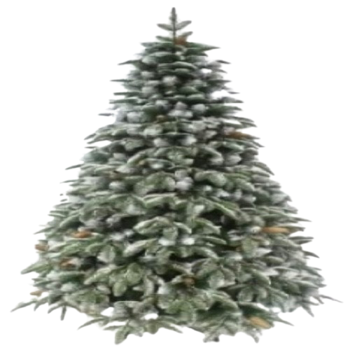 Point Leaf PINE | Christmas Trees Sale